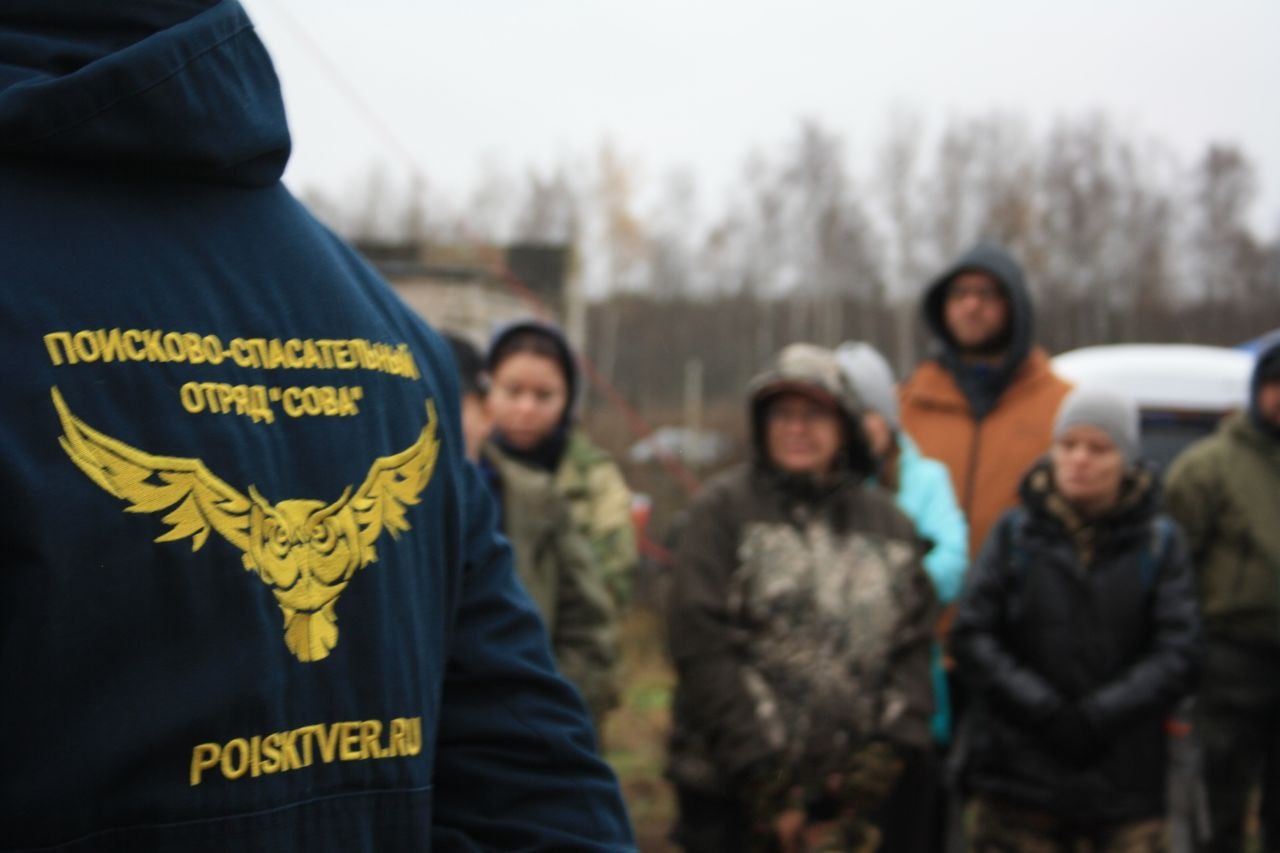 Dogs saved a pensioner from death in the Tver forest – Archyde